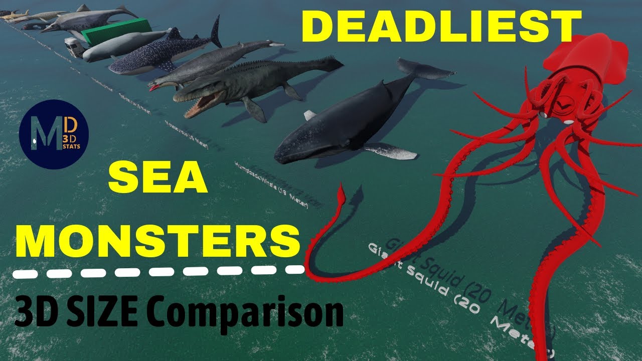 Deadliest Sea Monsters SIZE COMPARISON || 3D ANIMAL SIZE COMPARISON ...
