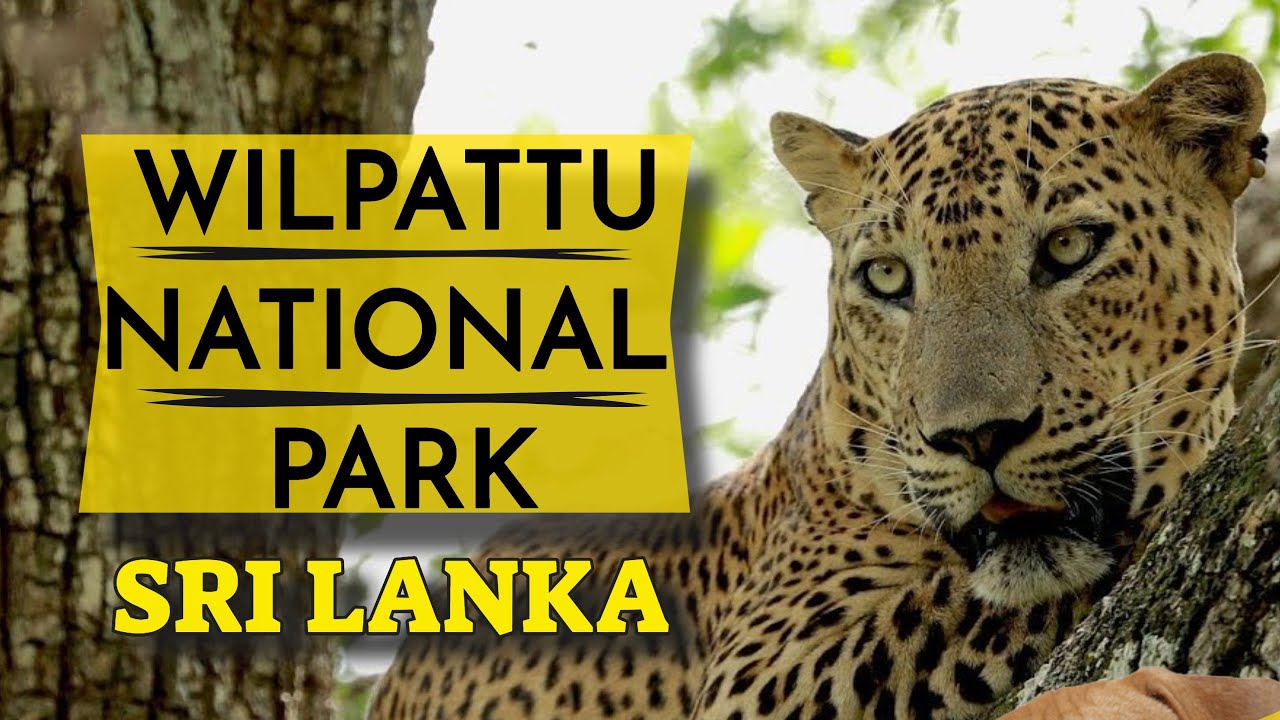 Wilpaththu National Park Map