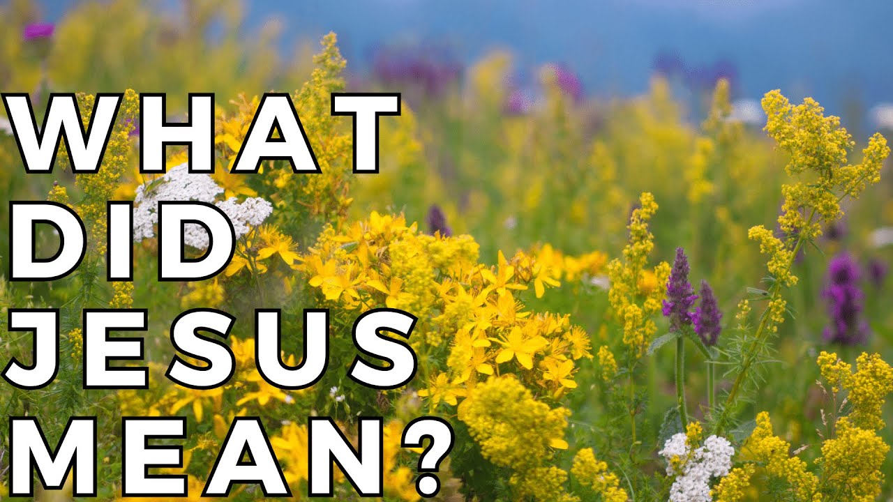 What Did Jesus Mean When He Promised An Abundant Life Part 1 YouTube What Did Jesus Mean When He Promised An Abundant Life Part 1 YouTube