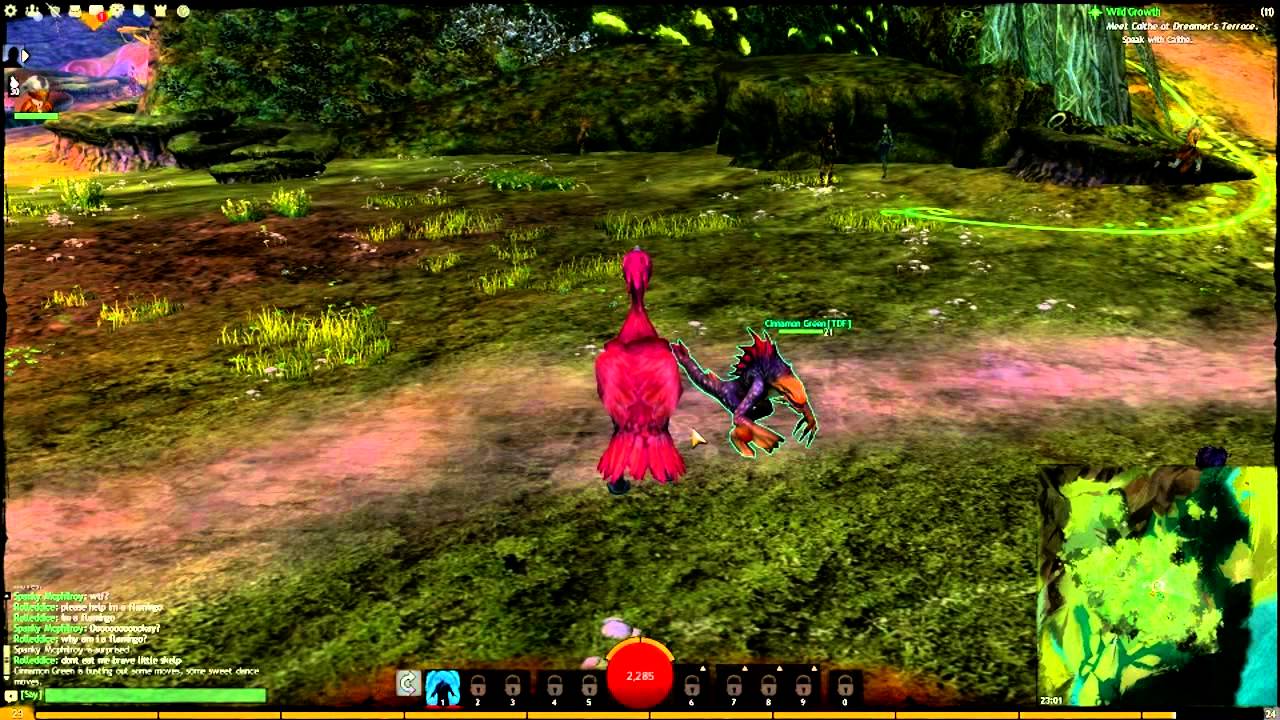 Flamingo Fun (Pink Moa) - Guild Wars 2 - YouTube
