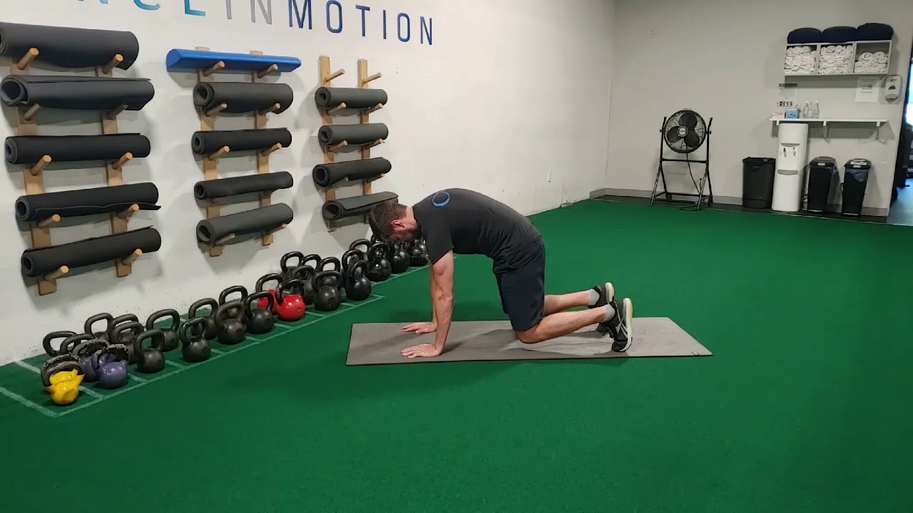 Bear Breathing - YouTube