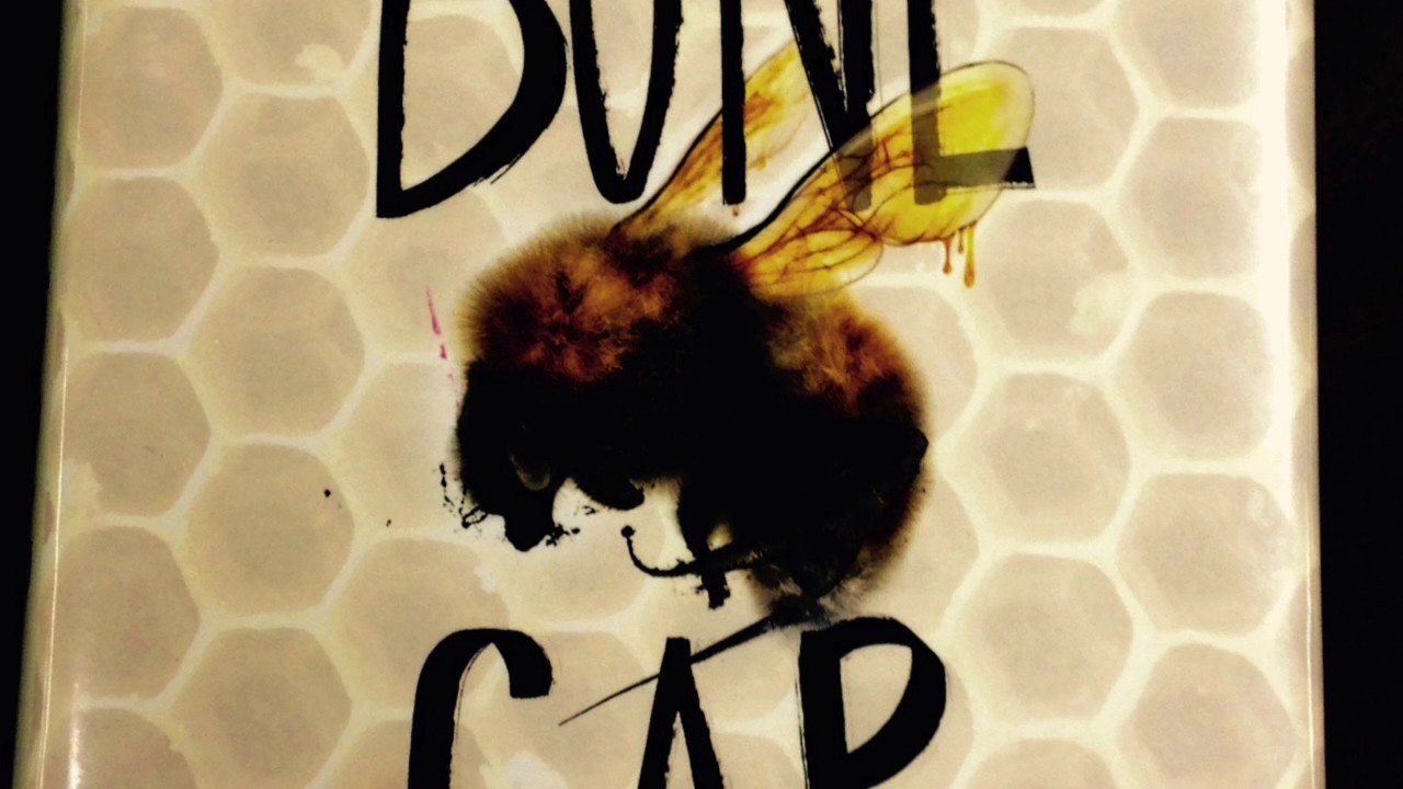 Bone Gap Book Talk - YouTube