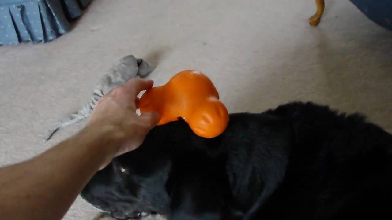 Sony DSC H20 Video Sample