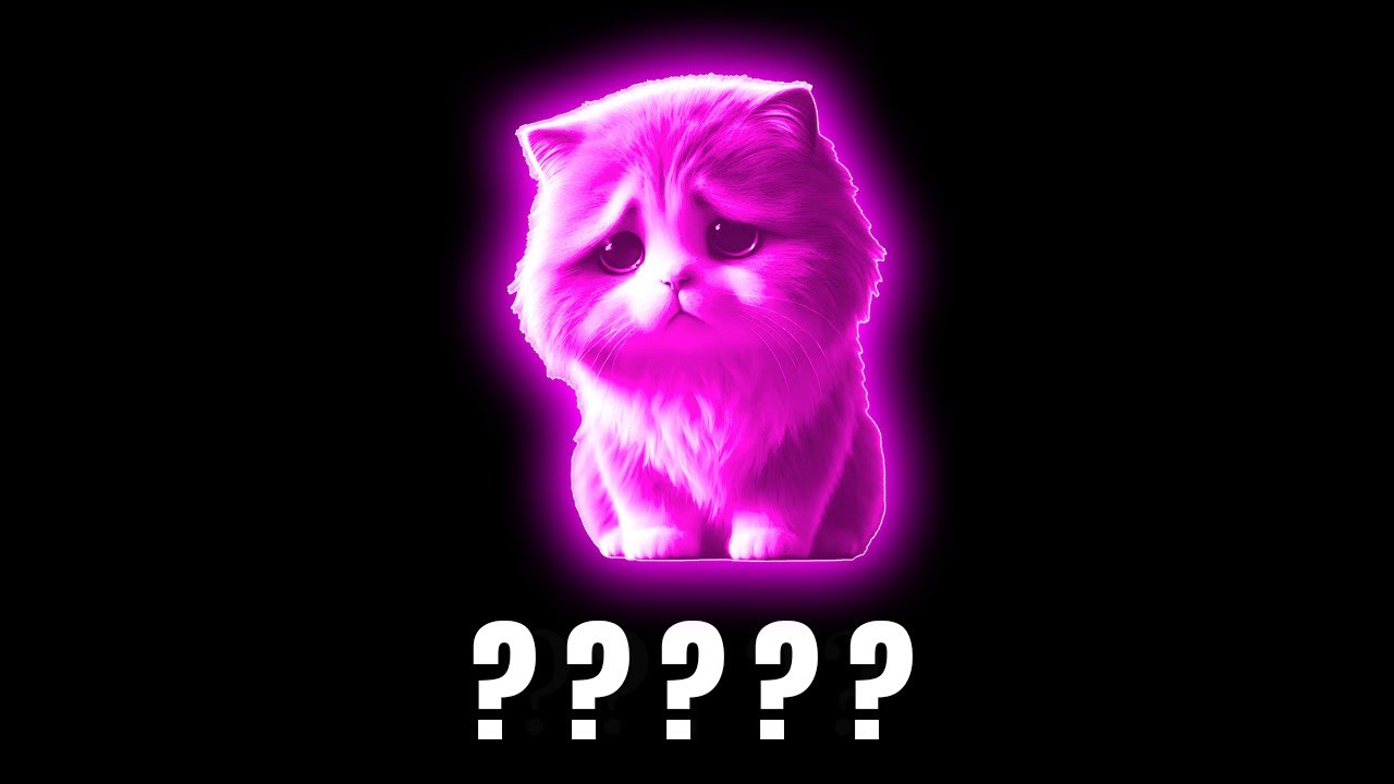 15 Sad Kitten Sound Variations in 55 Seconds | MODIFY EVERYTHING - YouTube