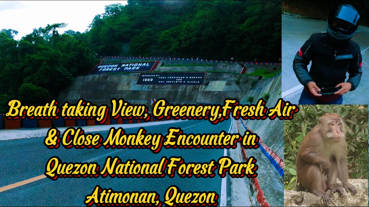 Breath Taking View and Ambiance of Quezon National Forest Park (Quezon ...