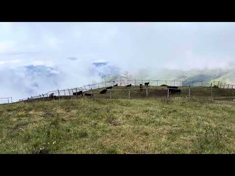 Yusufeli Yamaçüstü Köyü dağından manzaralar