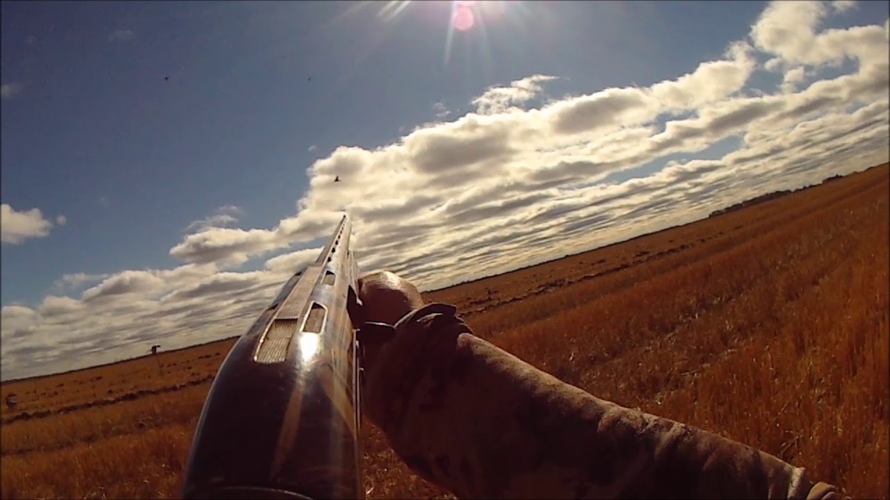 crack of noon mallard hunt KENT Bismuth shotshells - YouTube
