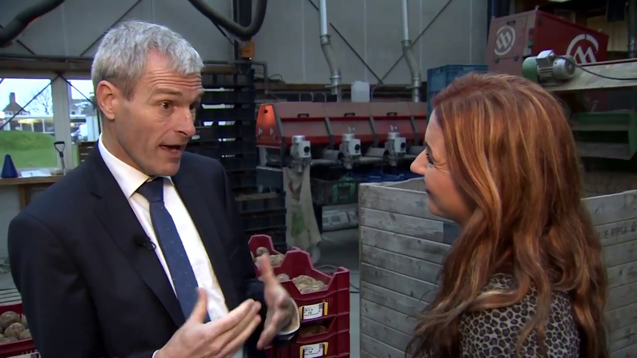 HZPC bij RTL 7 in De Succesfactor - YouTube