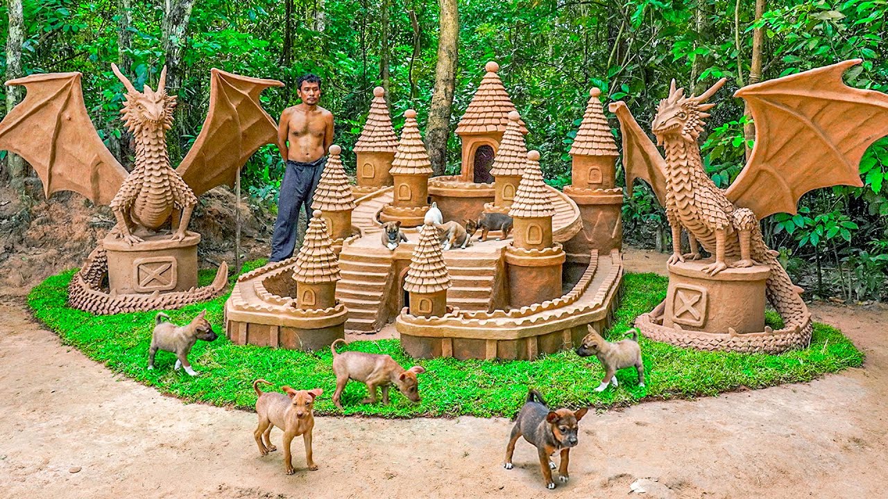 Dog rescue from raining storm and build Castle Dog House Build a dream ...