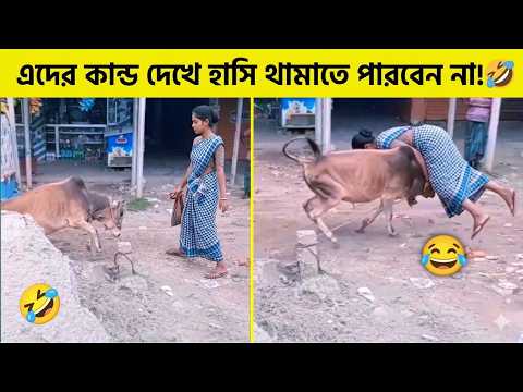 পশুদের মজার কর্মকান্ড  😂 | Funny Animals Video Part 1 | Jk Info | Mayajaal 