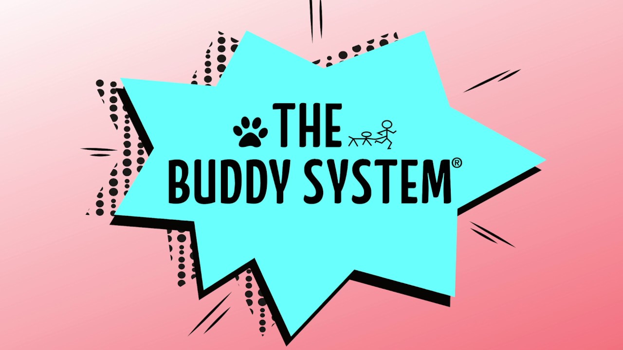 Buddy System