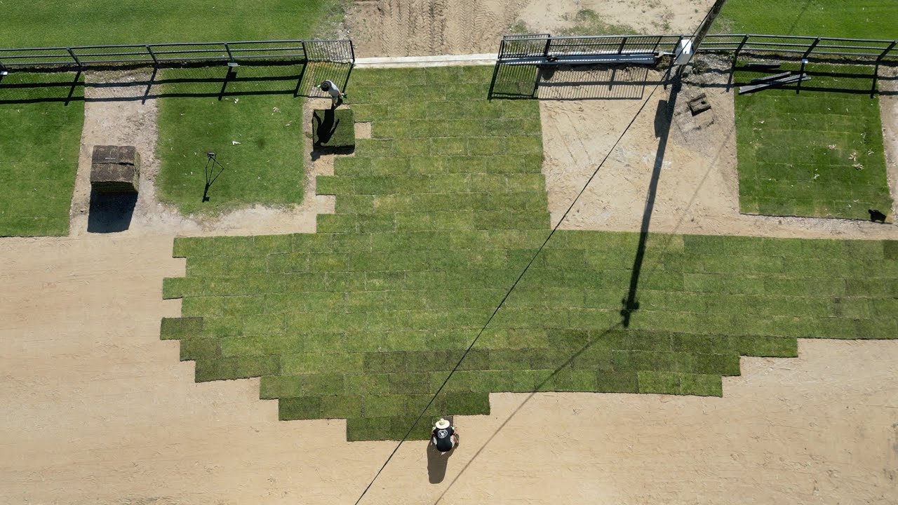 Amazing Turf Transformation // Turf Plots Nearing Completion - YouTube