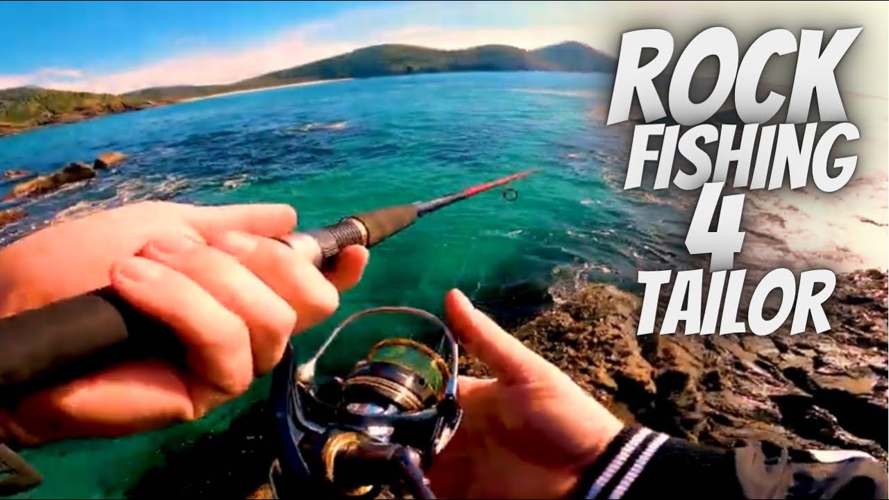 Catching tailor on lures | rock fishing | clear water - YouTube