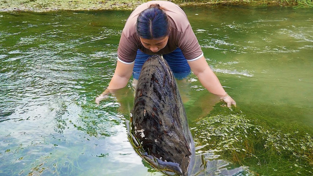 The process of collecting wild freshwater pearls, purely manual ...