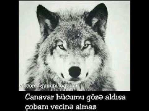Okaber-Taow