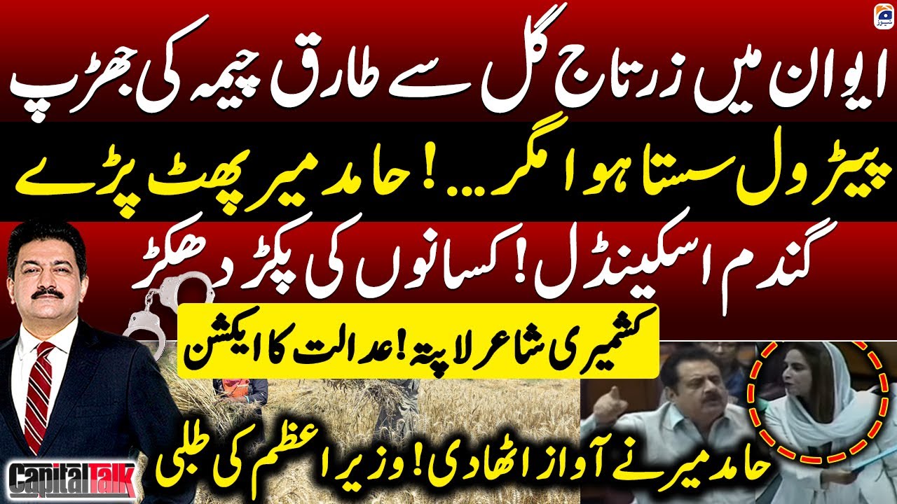 Zartaj Gul Vs Tariq Bashir Cheema - Wheat Scandal - Petrol Price - Hamid Mir - Capital Talk ...