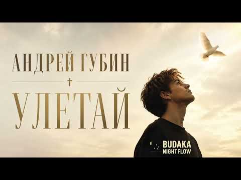 Андрей Губин - Улетай (Remix 2026)