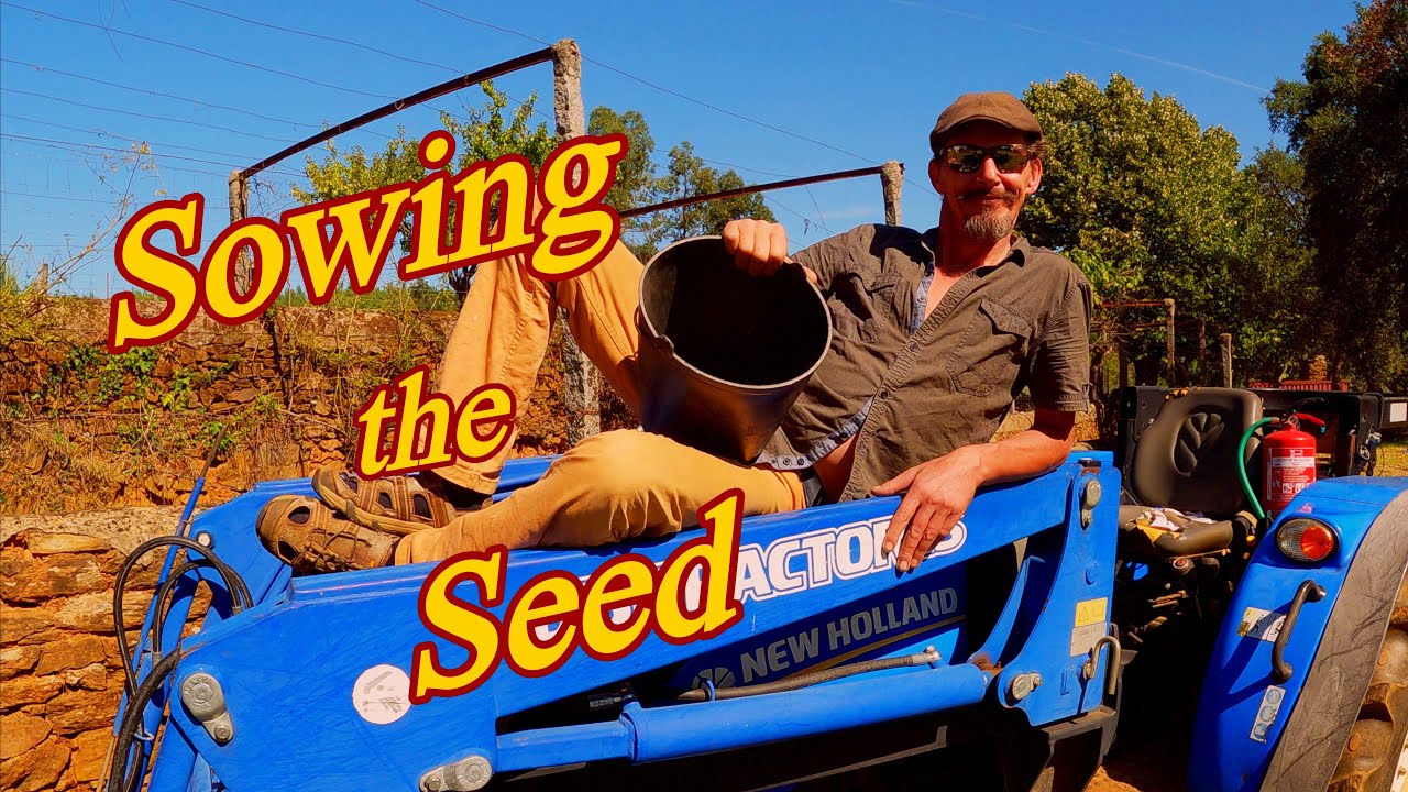 PORTUGAL HOMESTEAD #VLOG - Off Grid Goat Farm - Sowing seed and odd ...