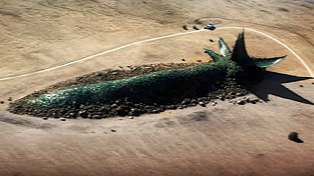 Drone Accidentally Captured a Mysterious Object That Fell from the Sky ...