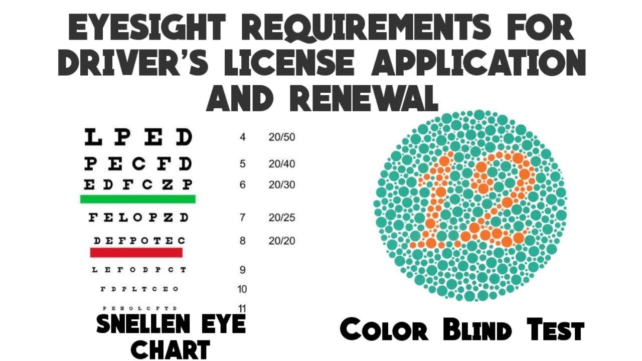 UAE Driving License Renewal Process 2025 | Eye Test in Umm Al Quwain ...