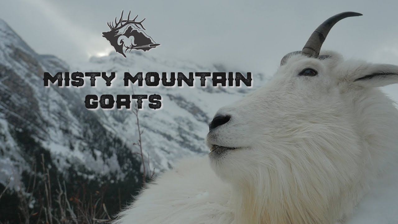 Misty Mountain Goat - YouTube
