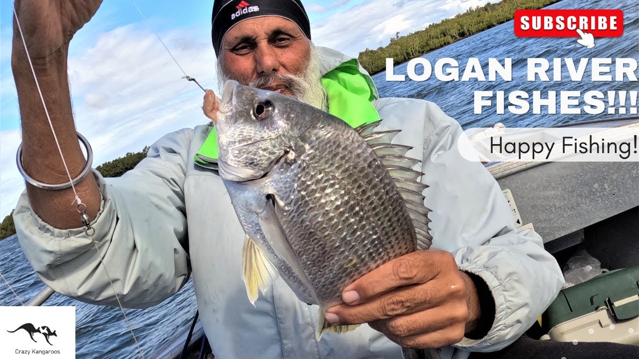 Logan River Unleashed: Fishing Surprises that'll Make You Say WOW! 😍 ...