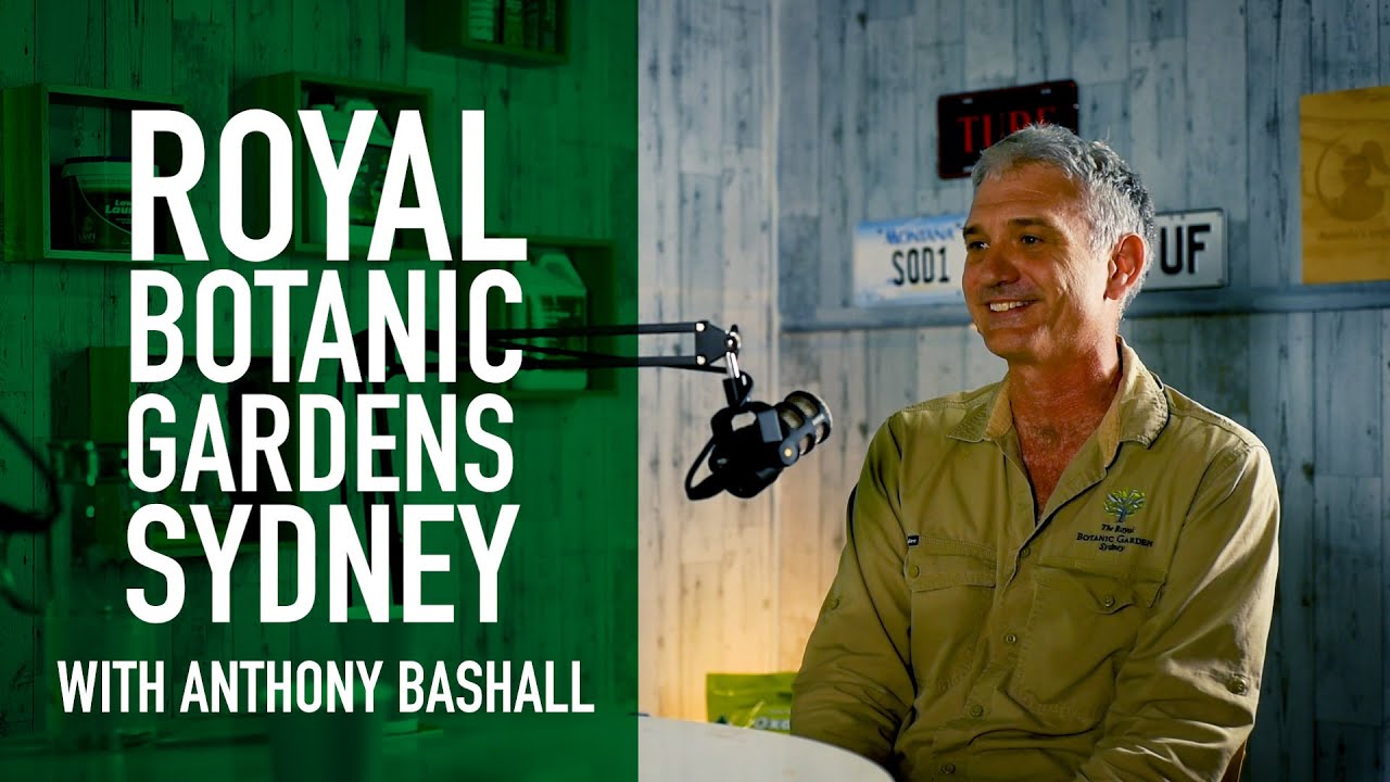 TurfTalk Podcast Ep 56 - Royal Botanic Garden, Sydney with Anthony ...