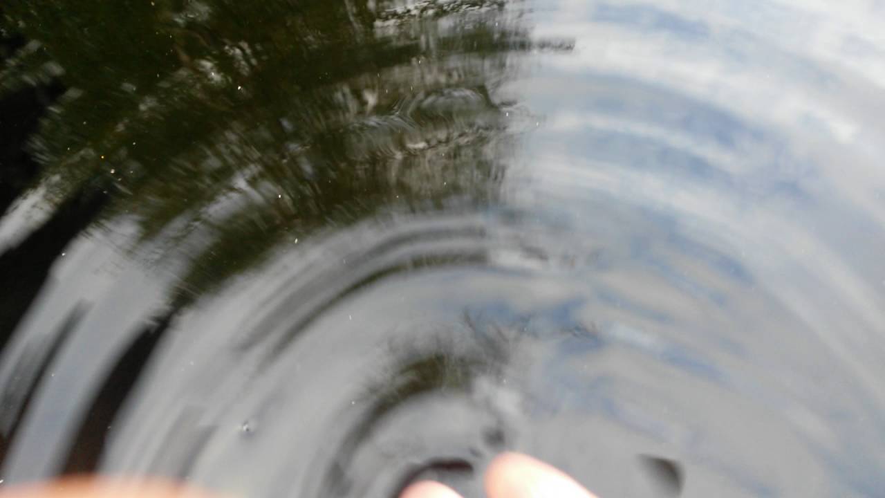 Onde transversale à la surface de l'eau - YouTube