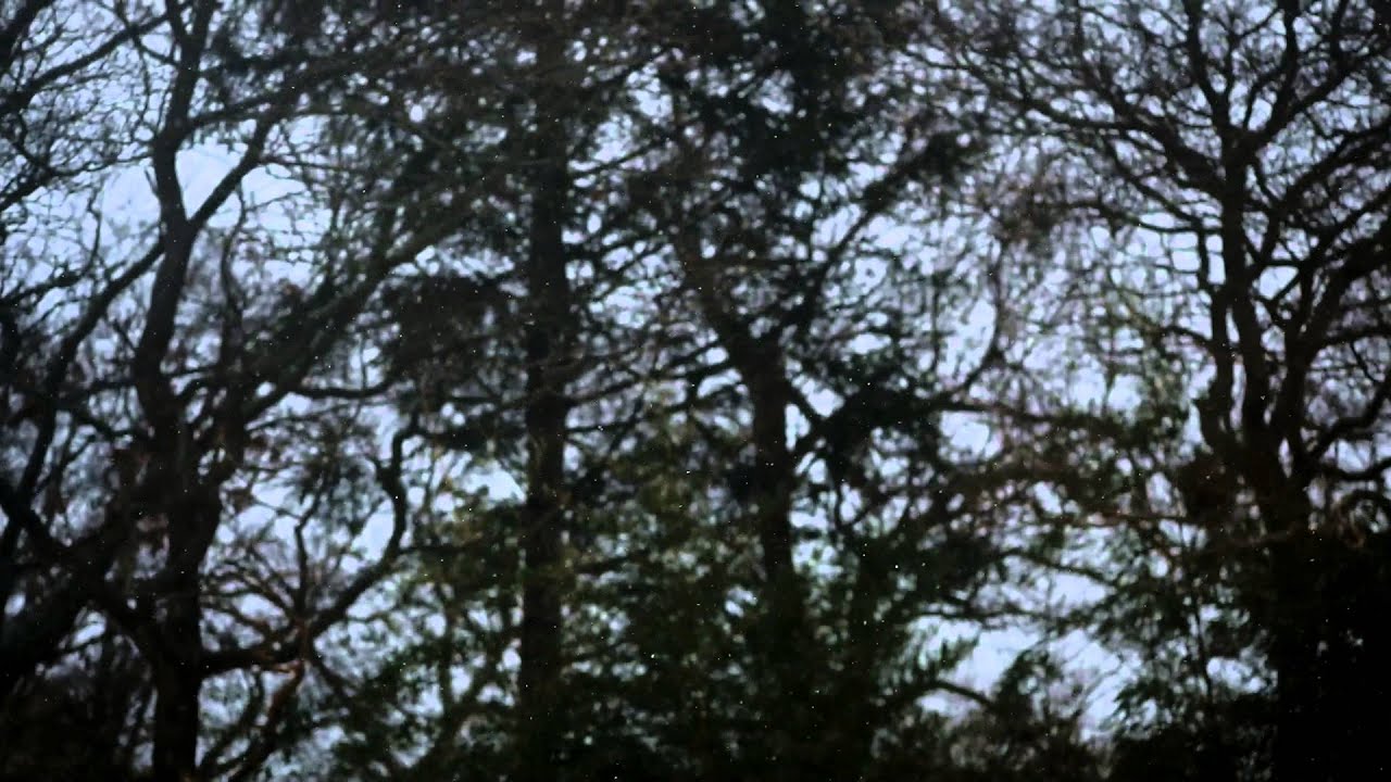 George Barbera - Dream Improvisation 1 - YouTube