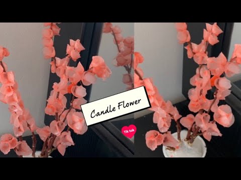 Diy| Candle Flower|Wax Flower Easy and simple-Tiktok Trending Candle  Flower Making