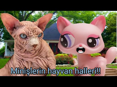 Minişlerin Hayvan Halleri!!! -3