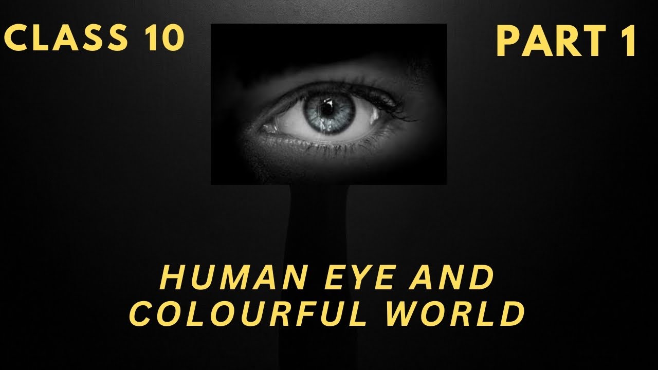 Human Eye And Colourful World | Class 10 | Part 1| Science - YouTube