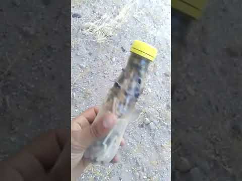 Kibrit ile bomba yapımı    Bomb making with matches
