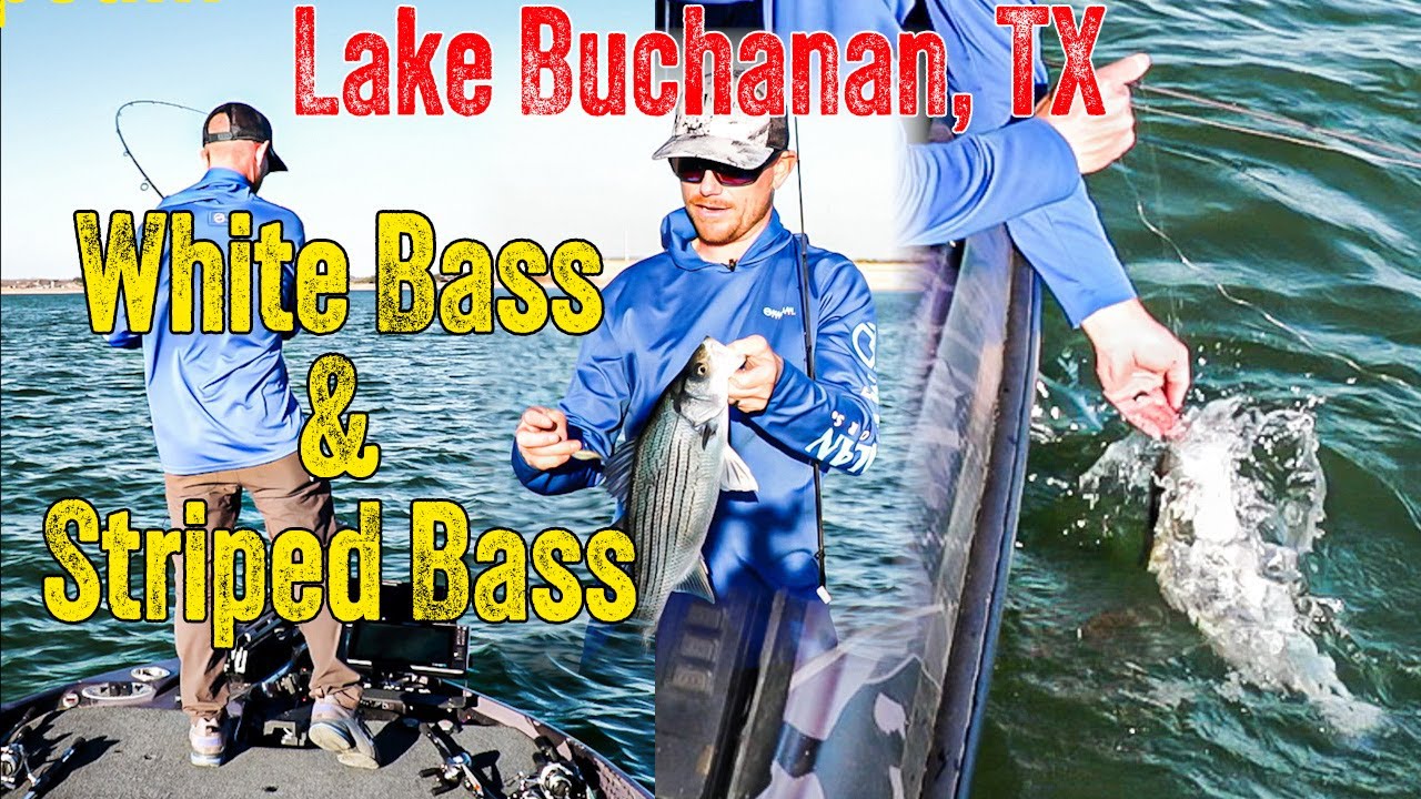 Fishing for White Bass & Striped Bass on Lake Buchanan - #2 SouthEAST ...