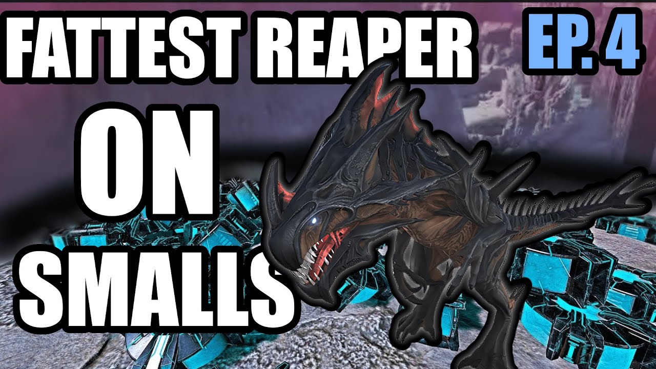 I found the FATTEST Reaper on SMALLS | Living Off the Loot | Ark ...