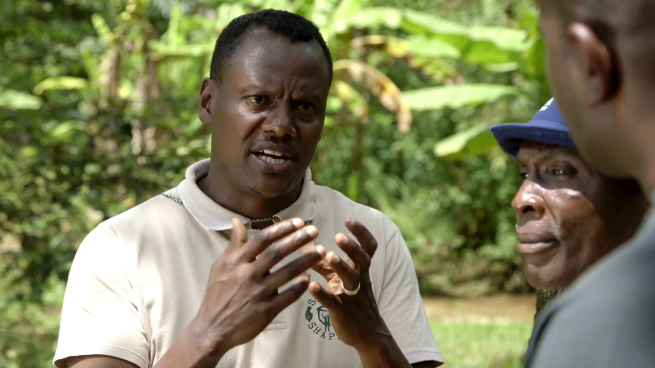 Shamba Shape Up Sn 10 - Ep 2: GreenHouse, Soil, Intercropping and ...