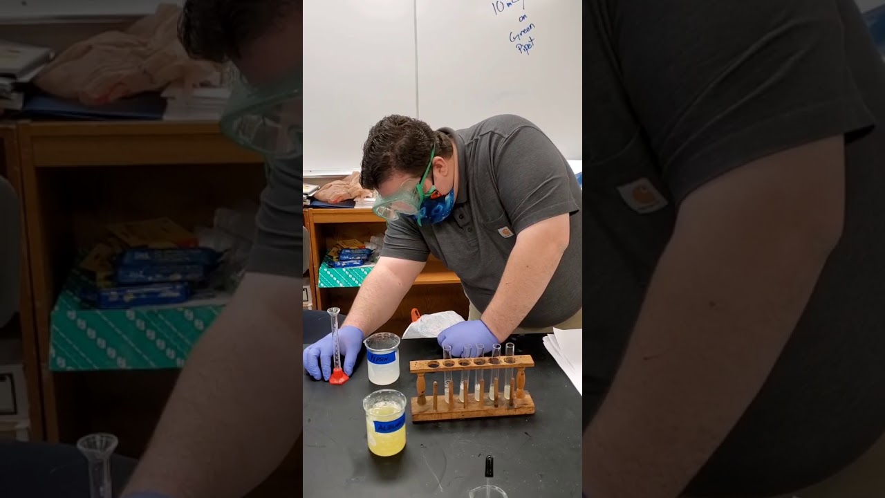 Egg digestion lab - YouTube
