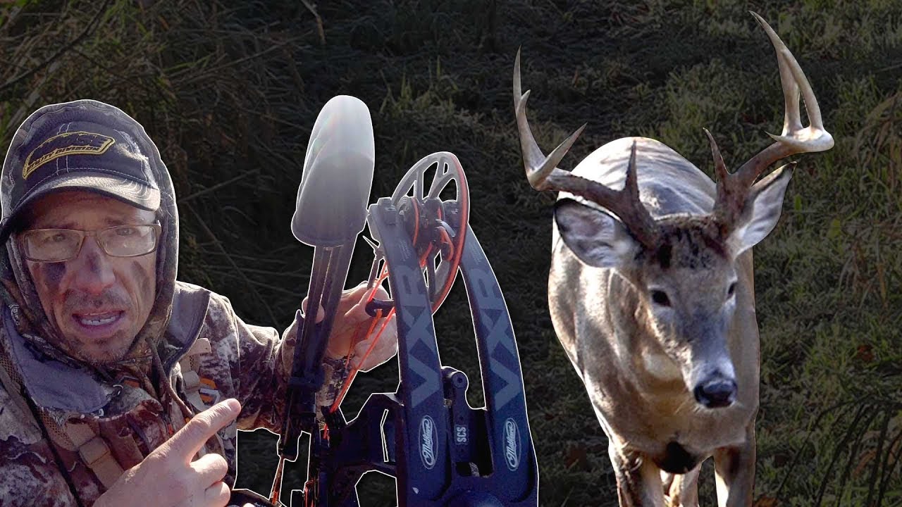 Big Buck Heart Shot At 10 Yards! - YouTube