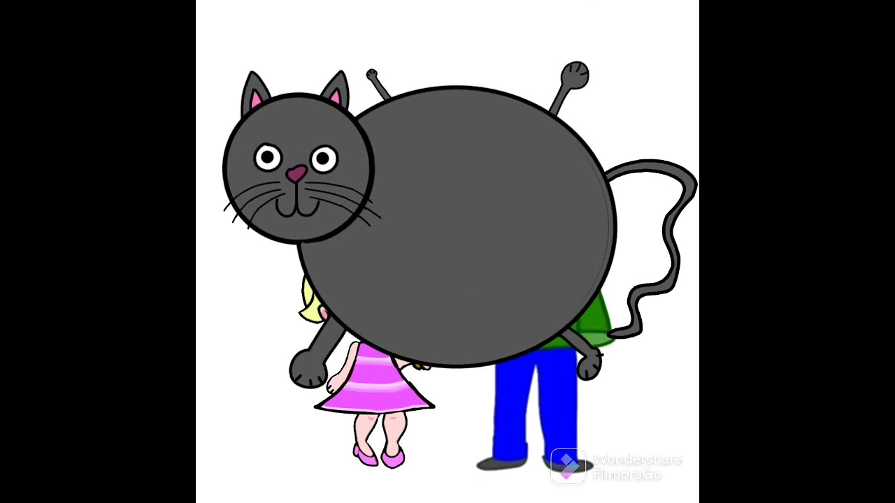 the new cat Eloise - YouTube