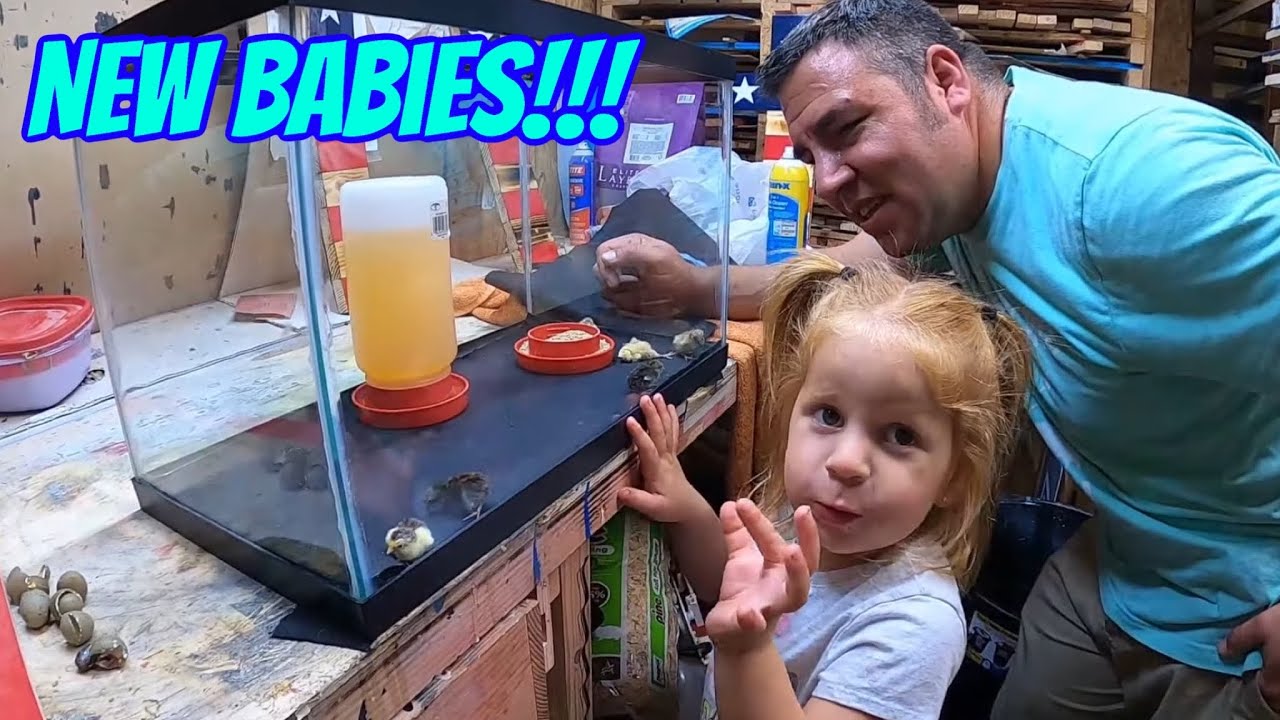 The kids are so excited about the new babies, hope we can raise them in ...