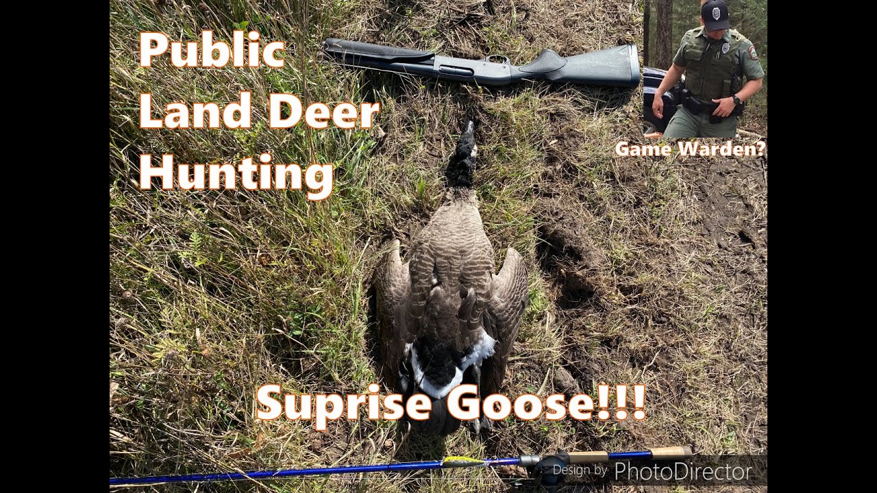 Minnesota PUBLIC LAND Deer Mission, Goose Side Quest (Game Warden ...