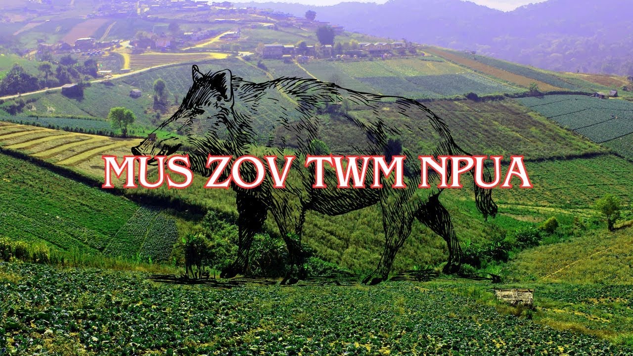 Mus Zov Twm Npua - YouTube