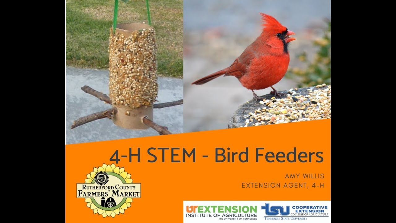 4 H STEM Bird Feeders - YouTube