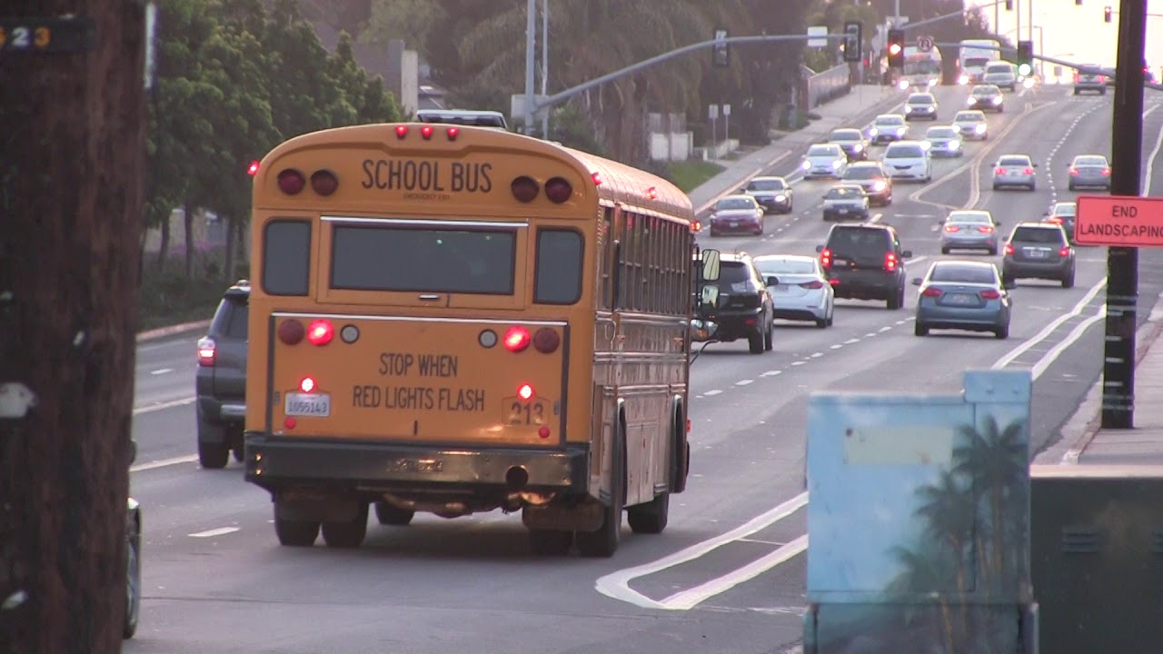 School Bus - Blue Bird A3 SUHSD #213 - YouTube