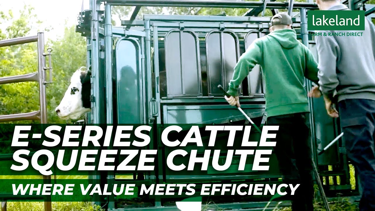 The Lakeland E-Series Cattle Squeeze Chute | A Cattle Handler With All ...