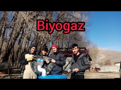 Biyogaz nasıl üretilir?