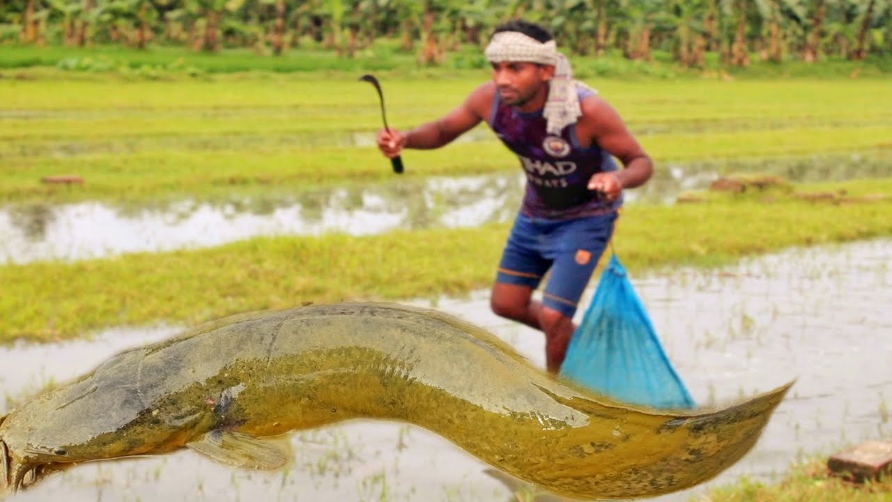 Big hook fishing video | Amazing hand fishing with beautiful nature ...