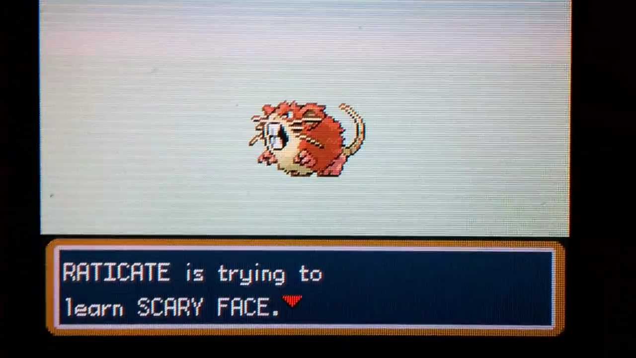 Shiny Rattata evolving into shiny Raticate. :) - YouTube