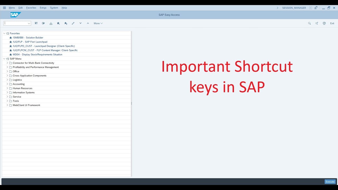 SAP Shortcut Keys Every User Should Know (Save Time Instantly!) - YouTube