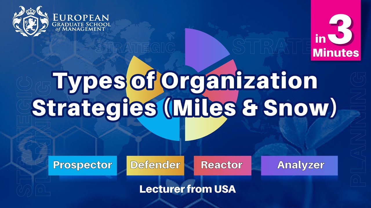 Types of Organization Strategies - (Miles & Snow) in 3 Minutes - YouTube